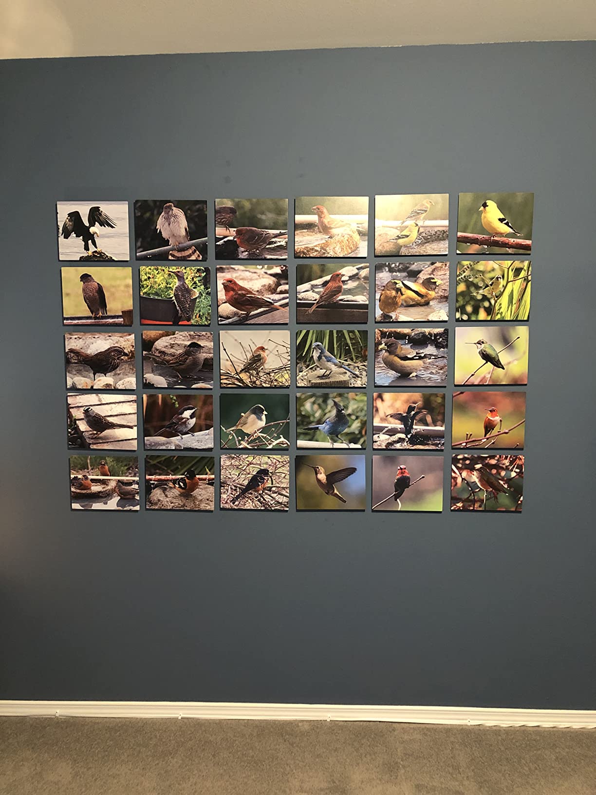 All You Need to Know about Metal Photo Prints – MetalCraze